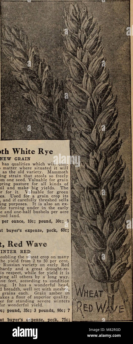 Childs' catalogue of fall bulbs that bloom - plants shrubs, fruits etc ...