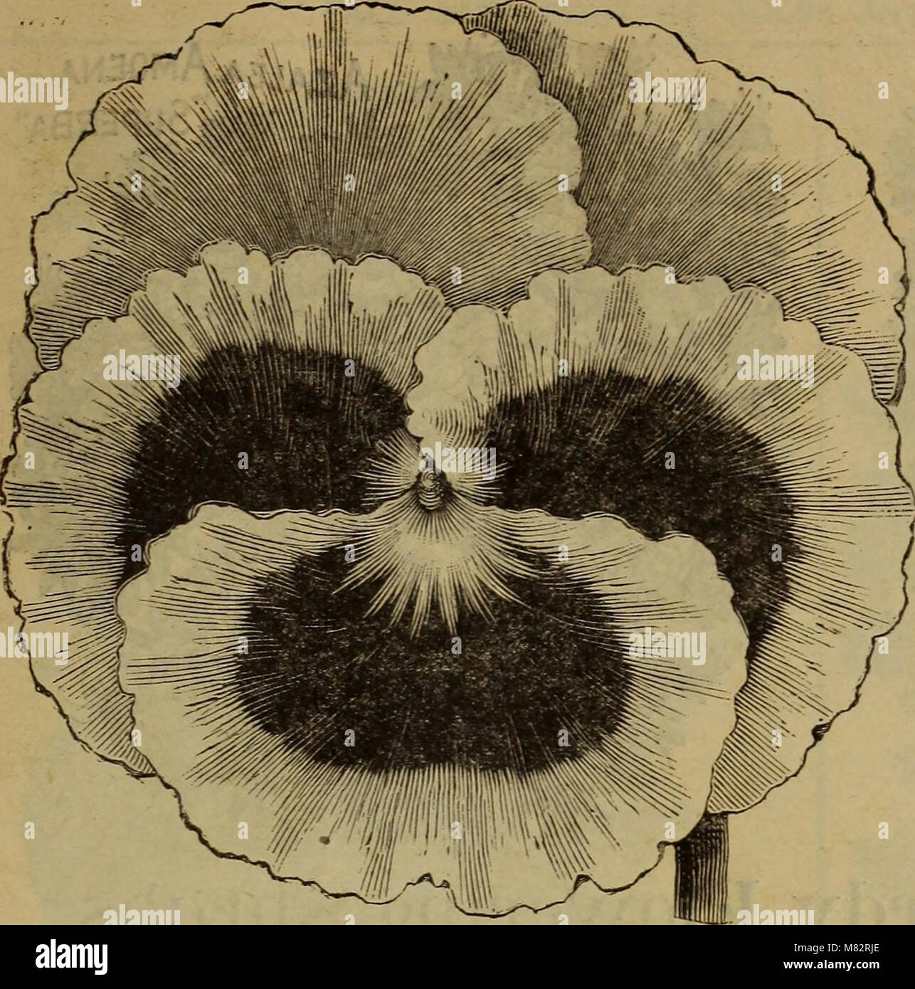 Childs' Catalogue of Fall Bulbs (1914) offers a guide to planting and ...