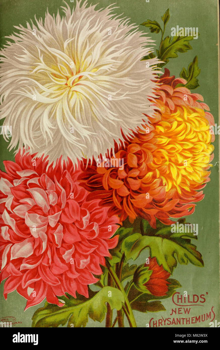 This catalog from 1894 presents a selection of rare flowers, vegetables ...