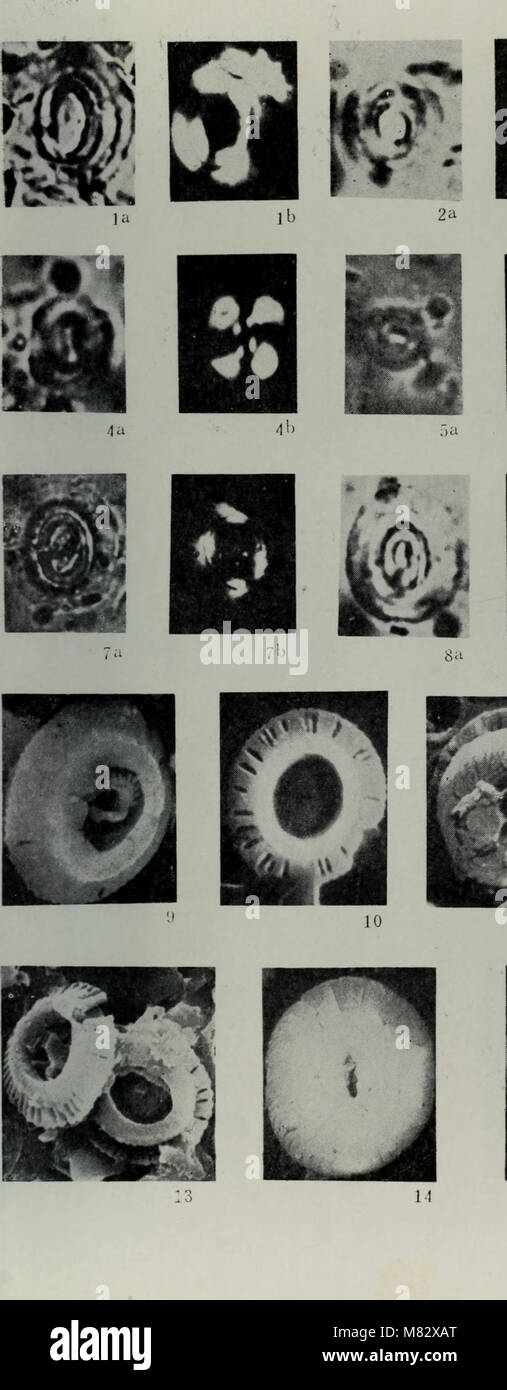 Wu wei sheng hi-res stock photography and images - Alamy