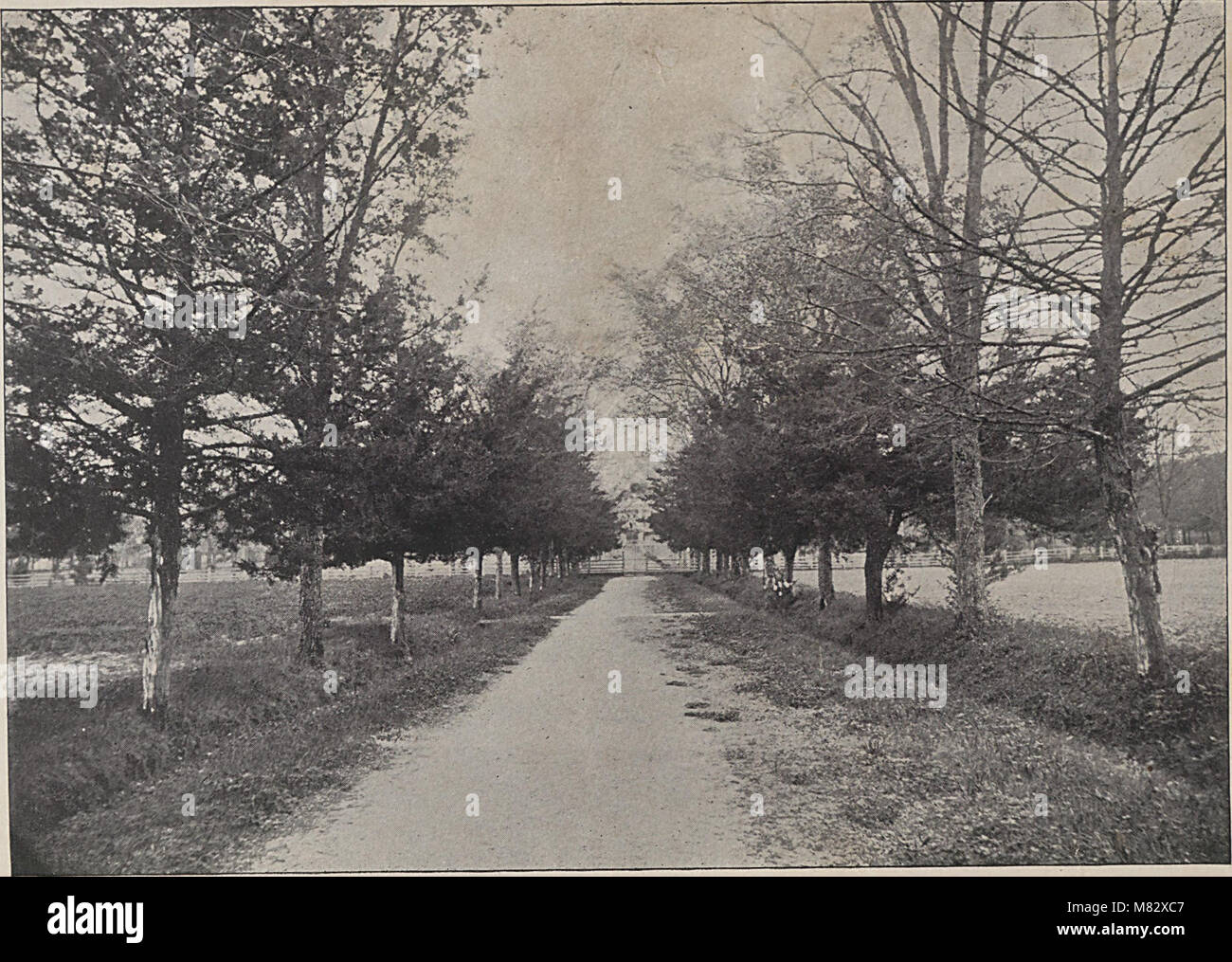 Chowan hi-res stock photography and images - Alamy