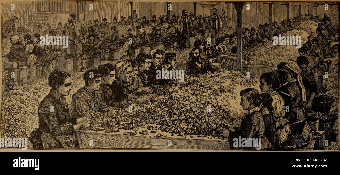 Christian herald and signs of our times (1891) (14591496917 Stock Photo ...