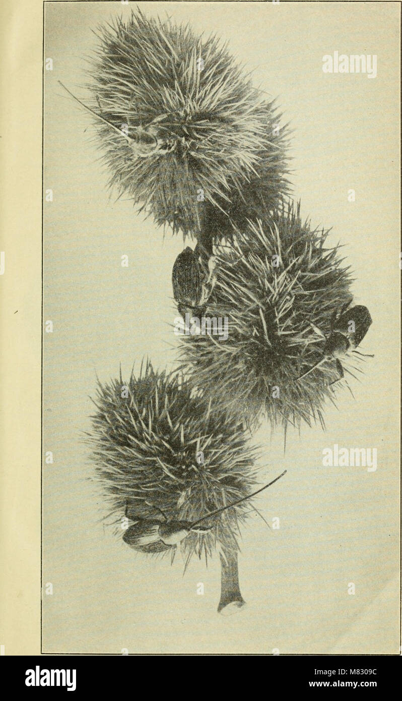 The 1891 circular contains official information or announcements from ...