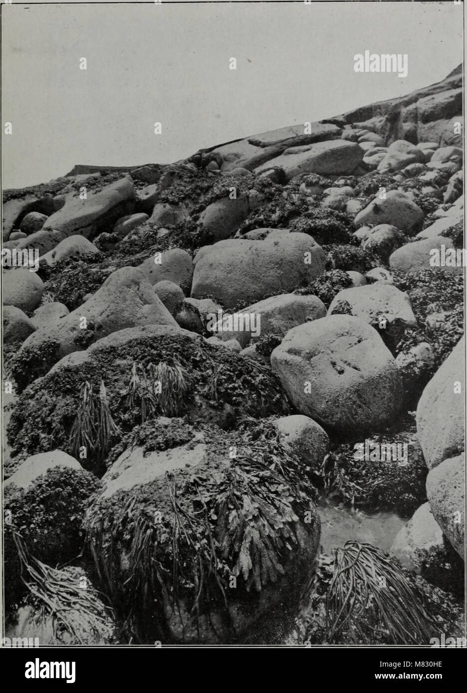 Clare island survey hi-res stock photography and images - Alamy