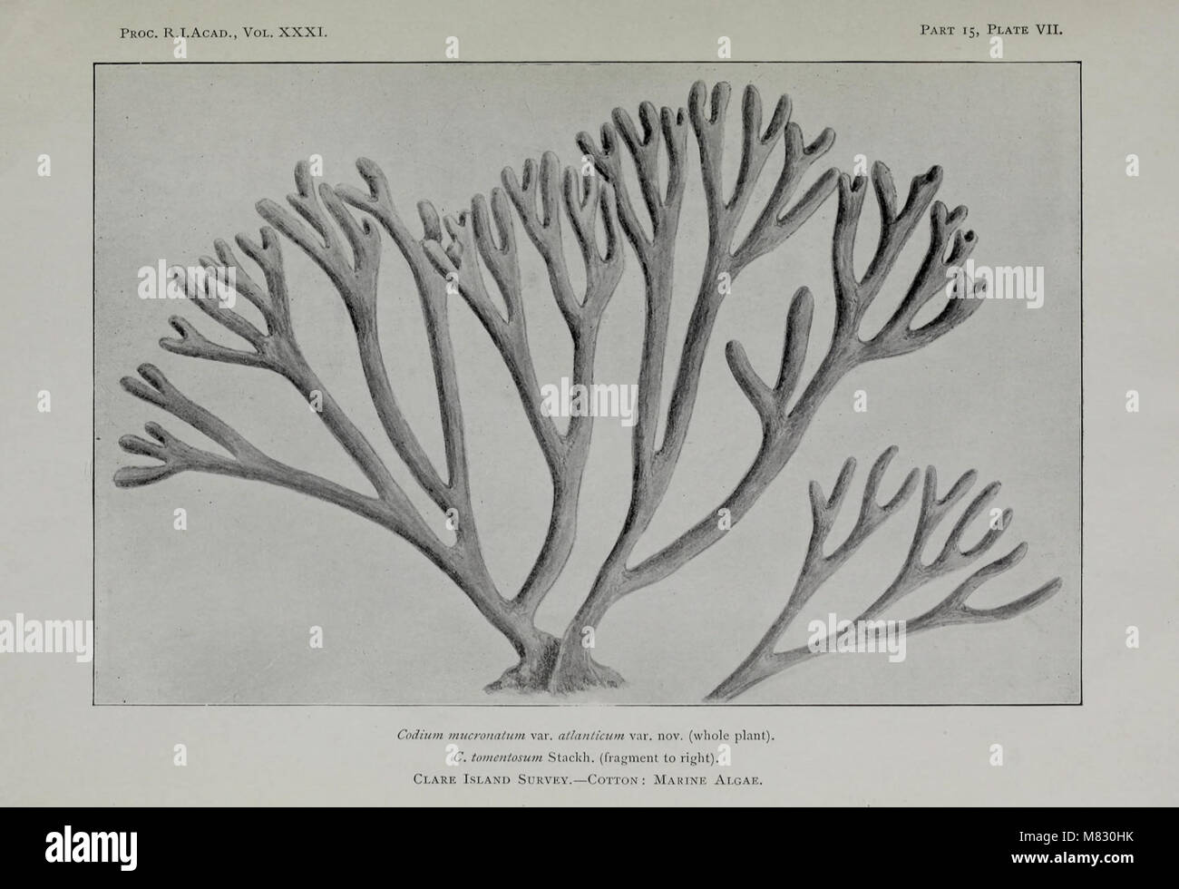 The Clare Island survey, conducted in 1911, focused on mapping and ...