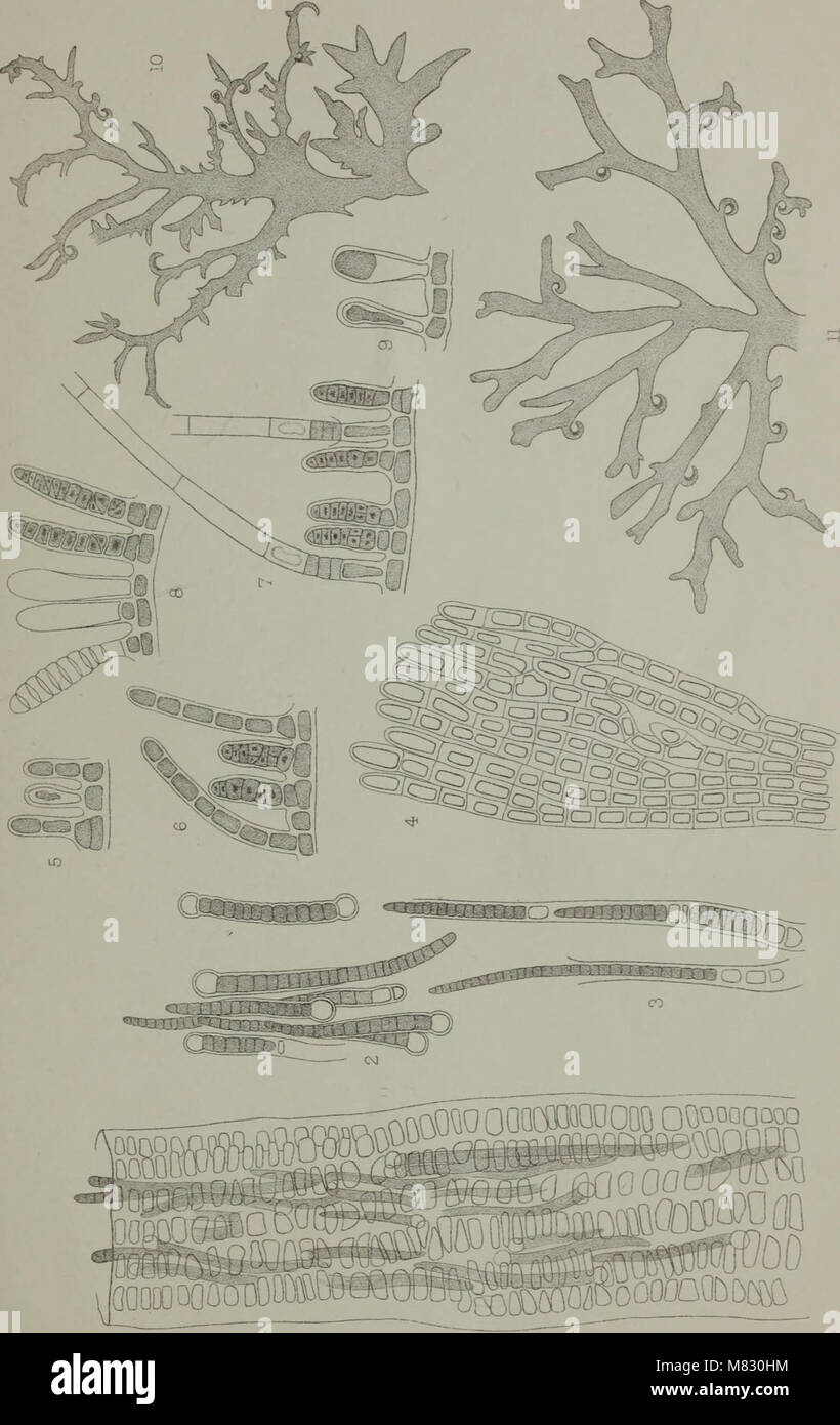 The Clare Island Survey (1911) is a comprehensive ecological and ...