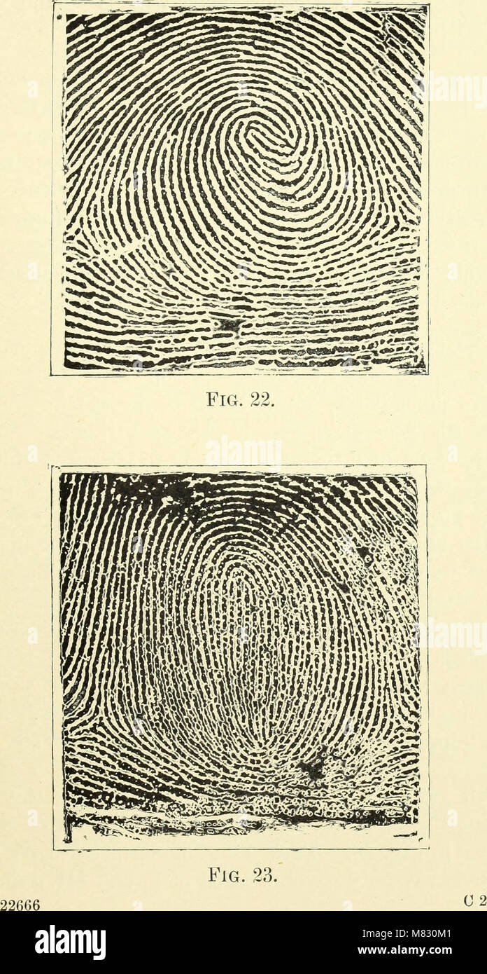 'Classification and Uses of Fingerprints' (1905) is a comprehensive guide to fingerprint ...