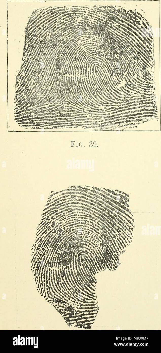 'Classification and Uses of Fingerprints' (1905) explores the system of ...
