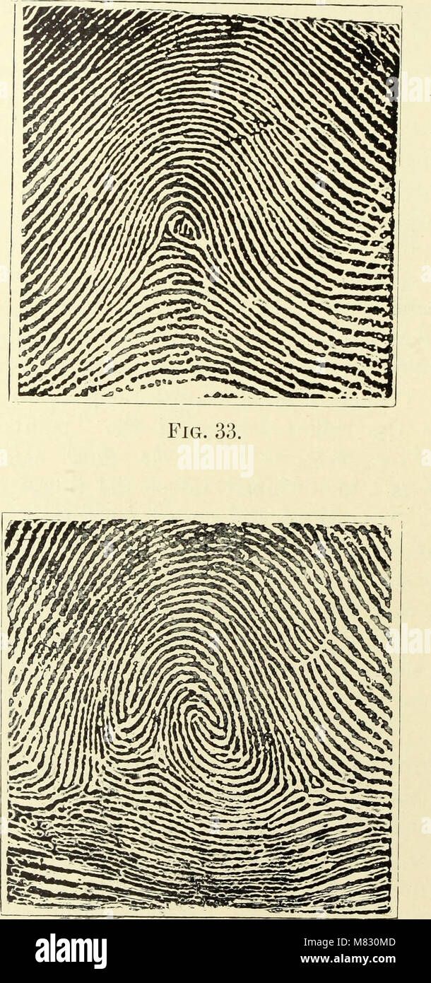 This 1905 resource provides an in-depth analysis of fingerprint ...