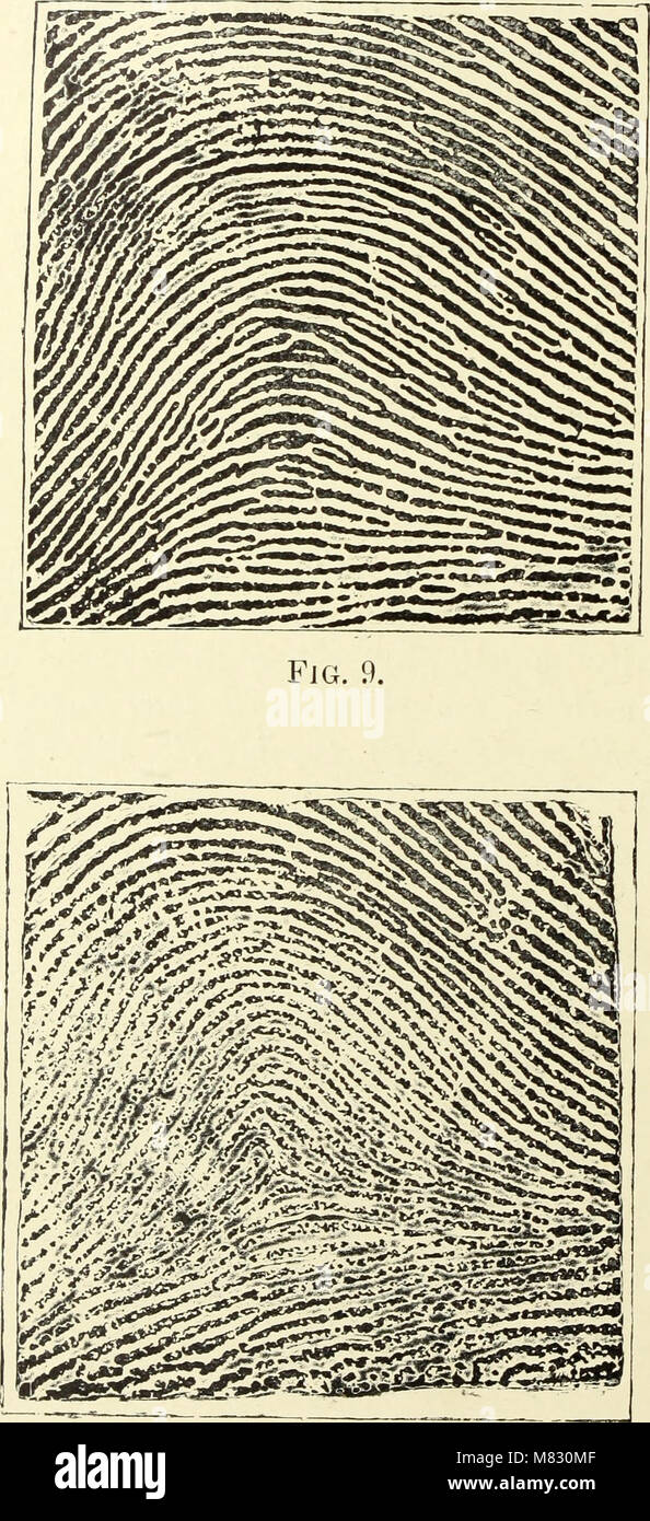 This 1905 study explores the classification methods and practical uses ...