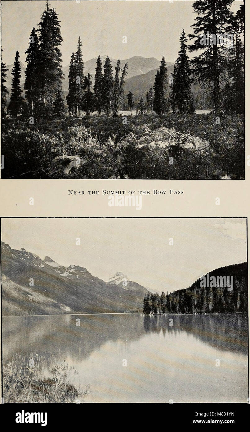 'Climbs and Exploration in the Canadian Rockies' (1903) documents the ...