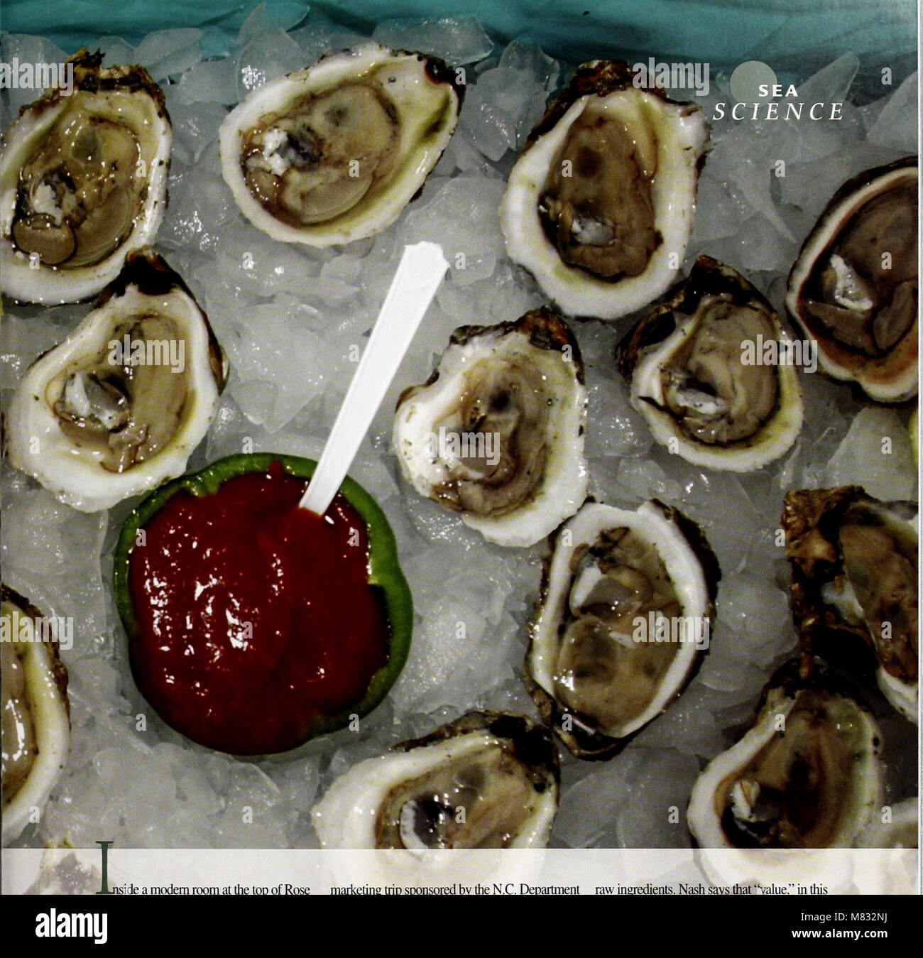 Coast watch (1979) (20472608268 Stock Photo - Alamy