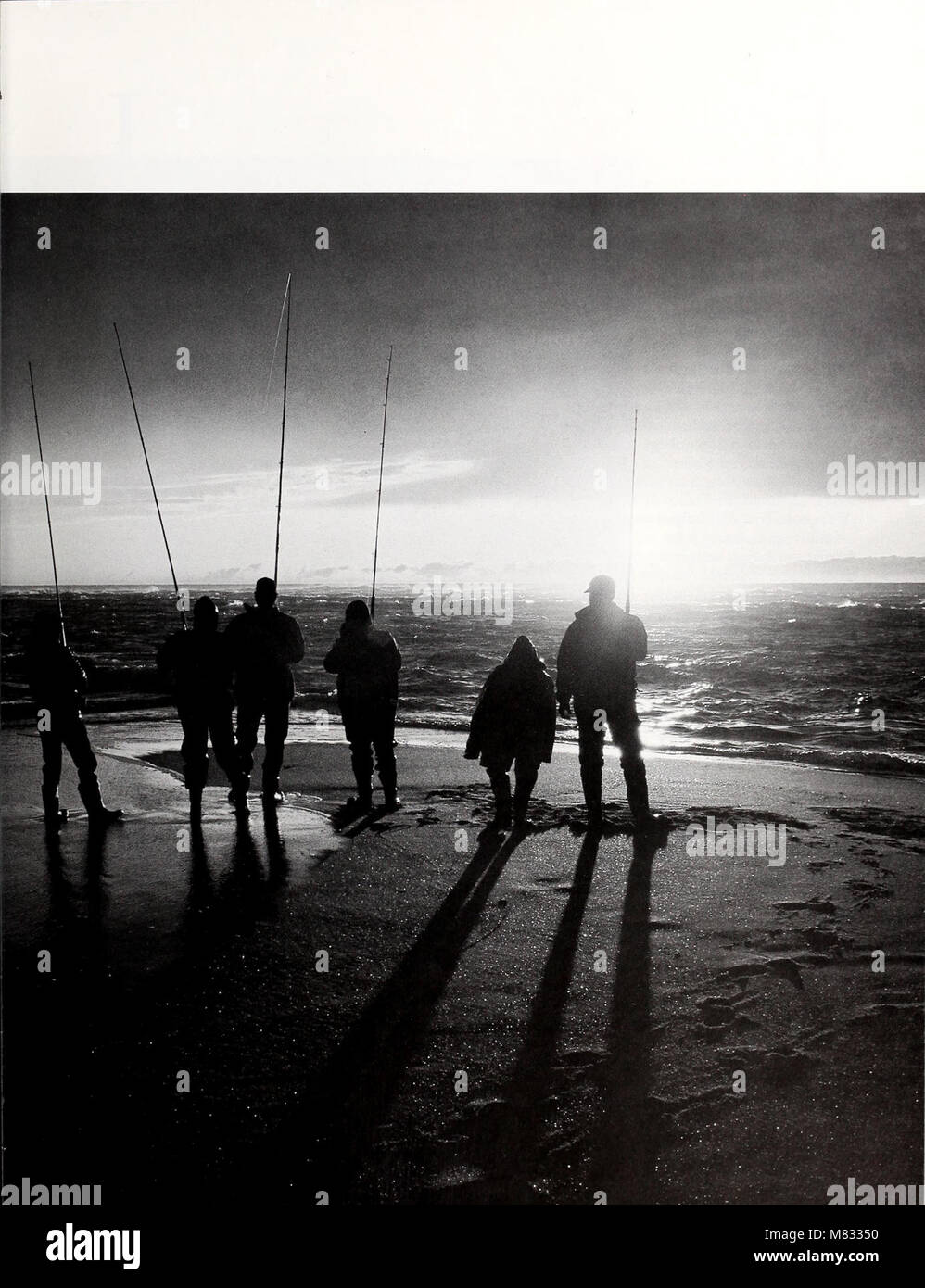 *Coast Watch* (1979) presents a detailed observation of coastal regions ...