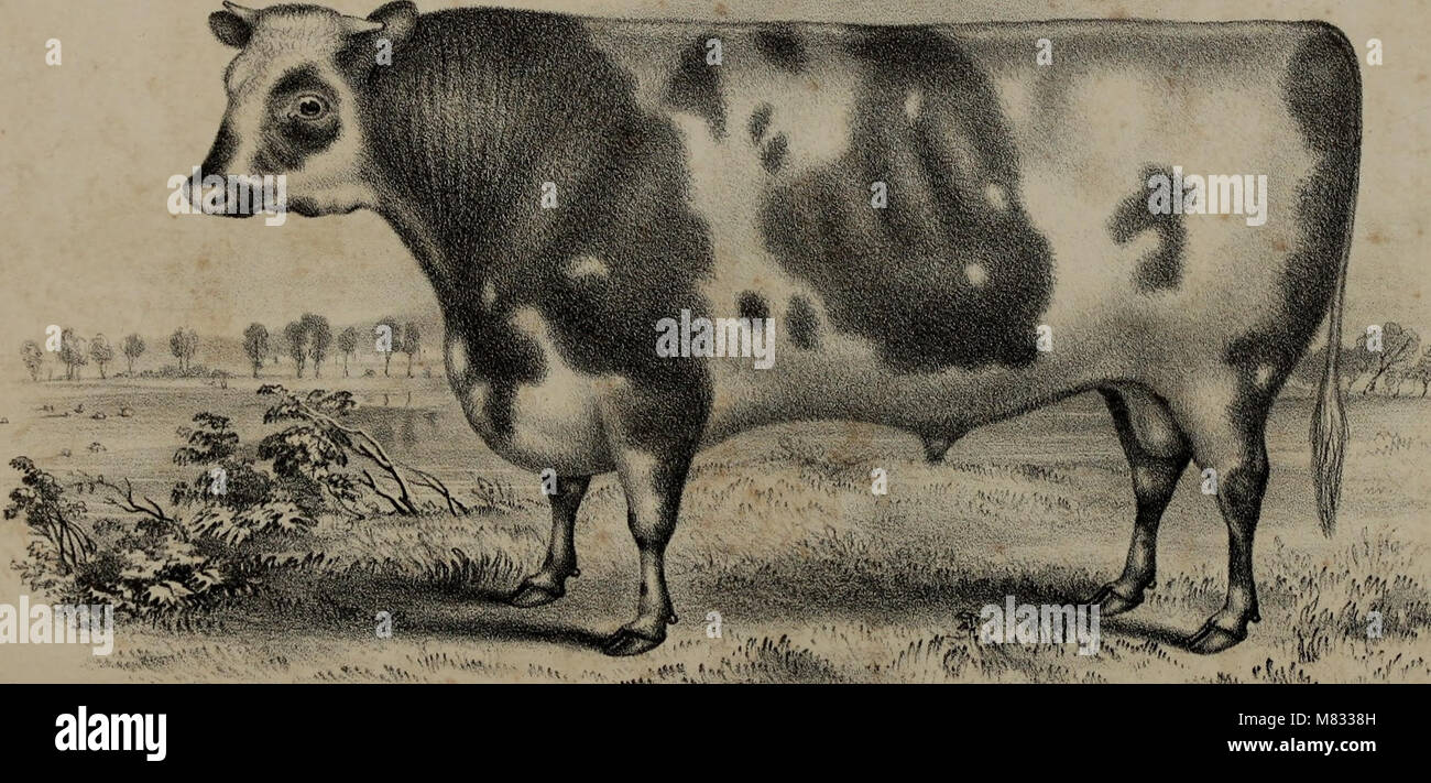 'Coates's Herd Book' (1843) is a comprehensive record of livestock ...