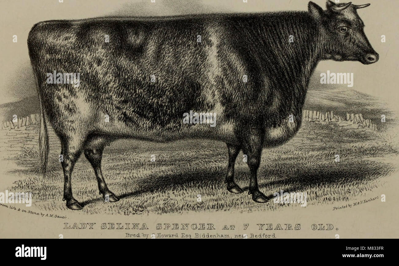 A 1865 publication documenting the pedigrees of cattle, focusing on ...