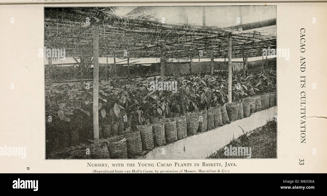 This 1920 work traces the history of cocoa and chocolate, from the ...