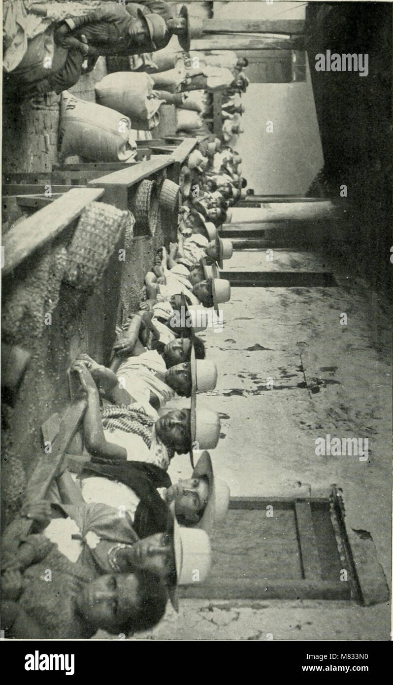 This 1894 work offers a detailed exploration of coffee, its history ...