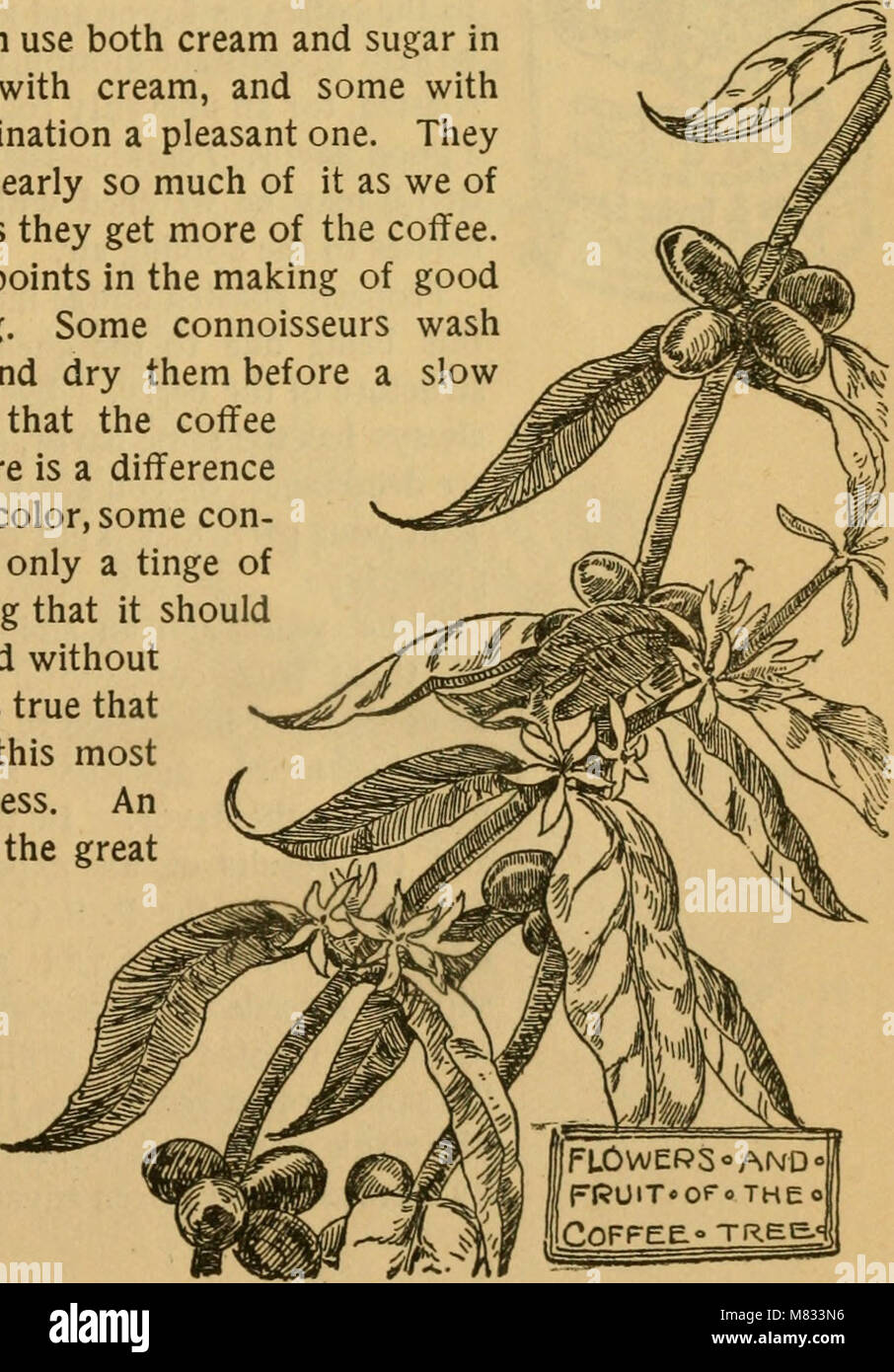 Coffee; its history and also its remarkable growth in the world of ...