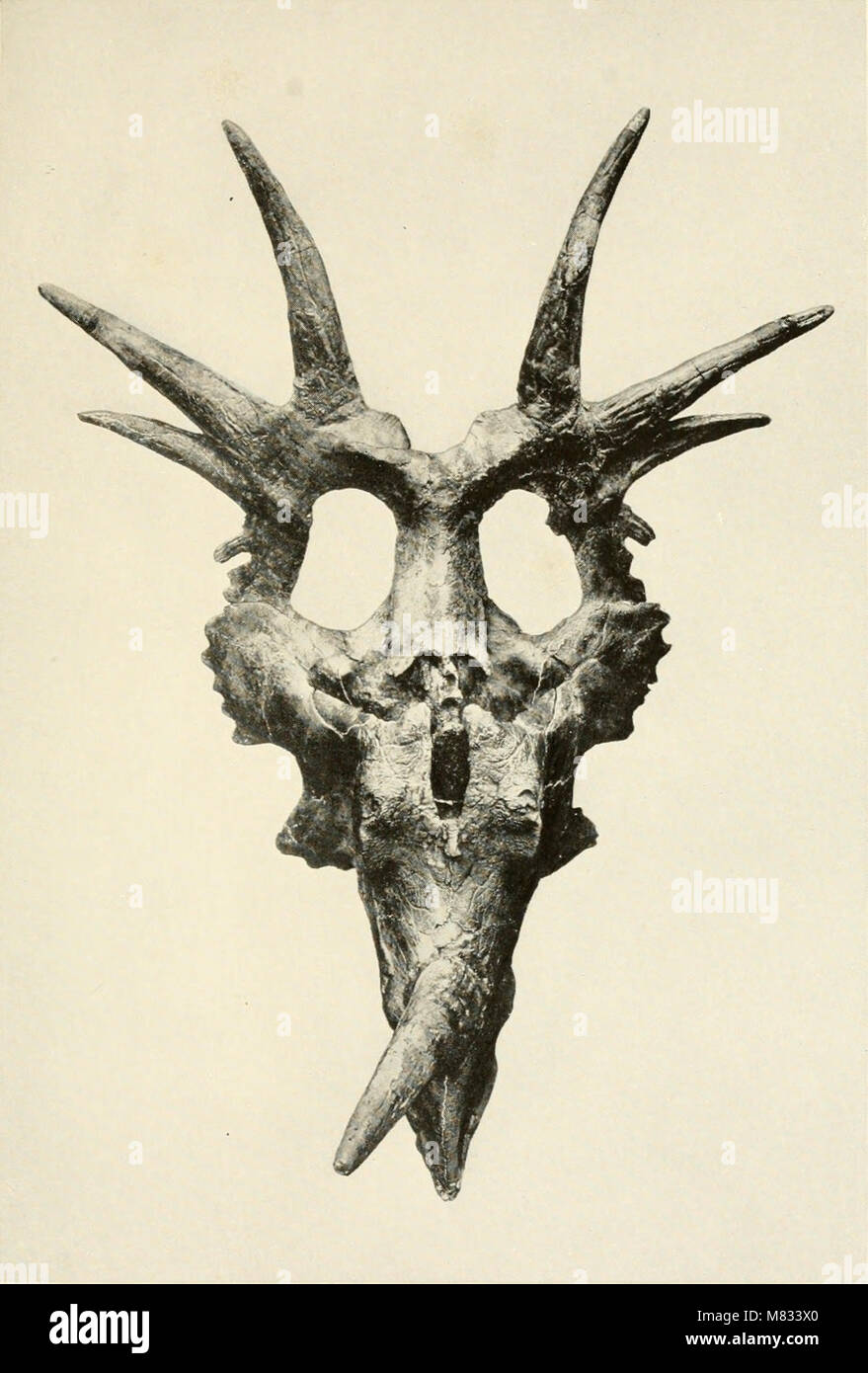 This 1930 publication focuses on cold-blooded vertebrates, specifically ...