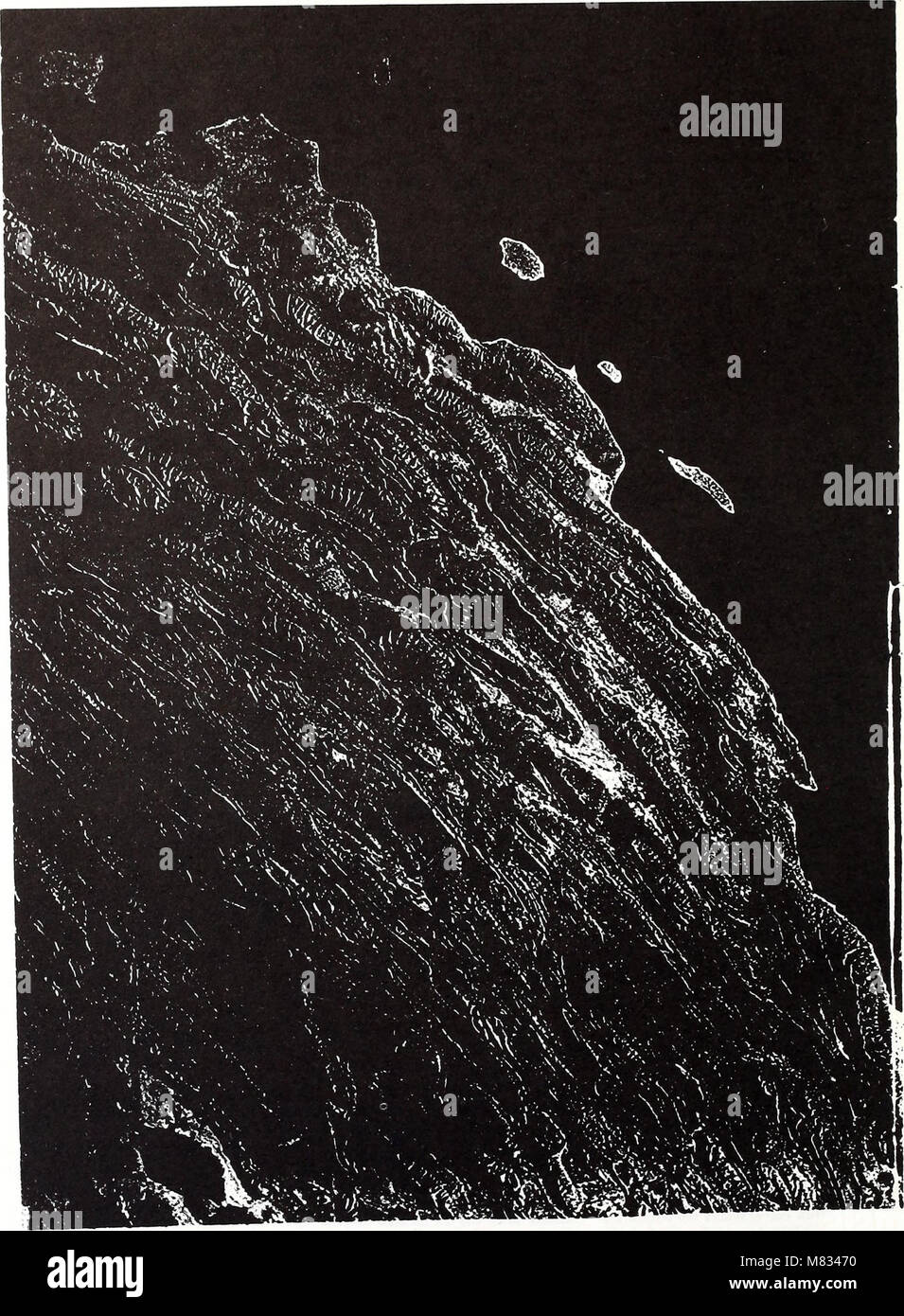 Collected reprints - Atlantic Oceanographic and Meteorological ...