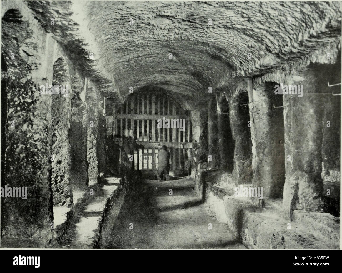 This collection of illustrated monographs, published in 1905, presents ...