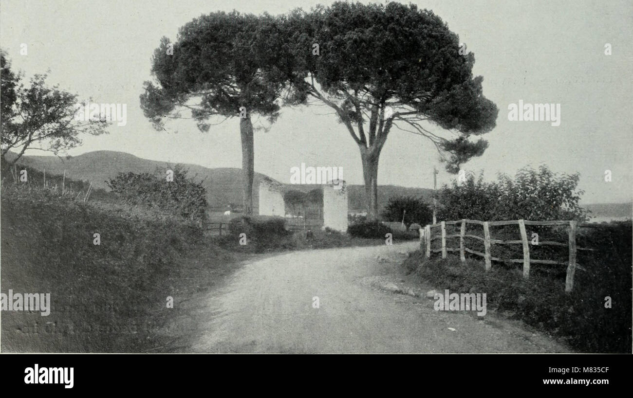 The 'Collezione di Monografie Illustrate' (1905) is a collection of ...