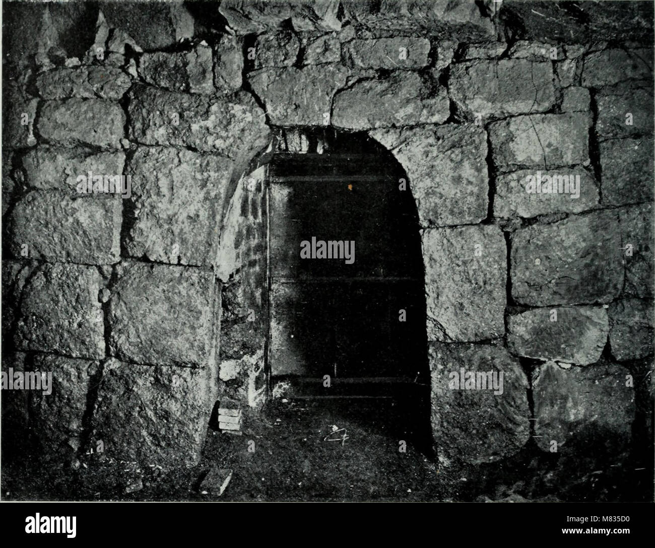 Collezione di monografie illustrate, 1905, is a collection of ...