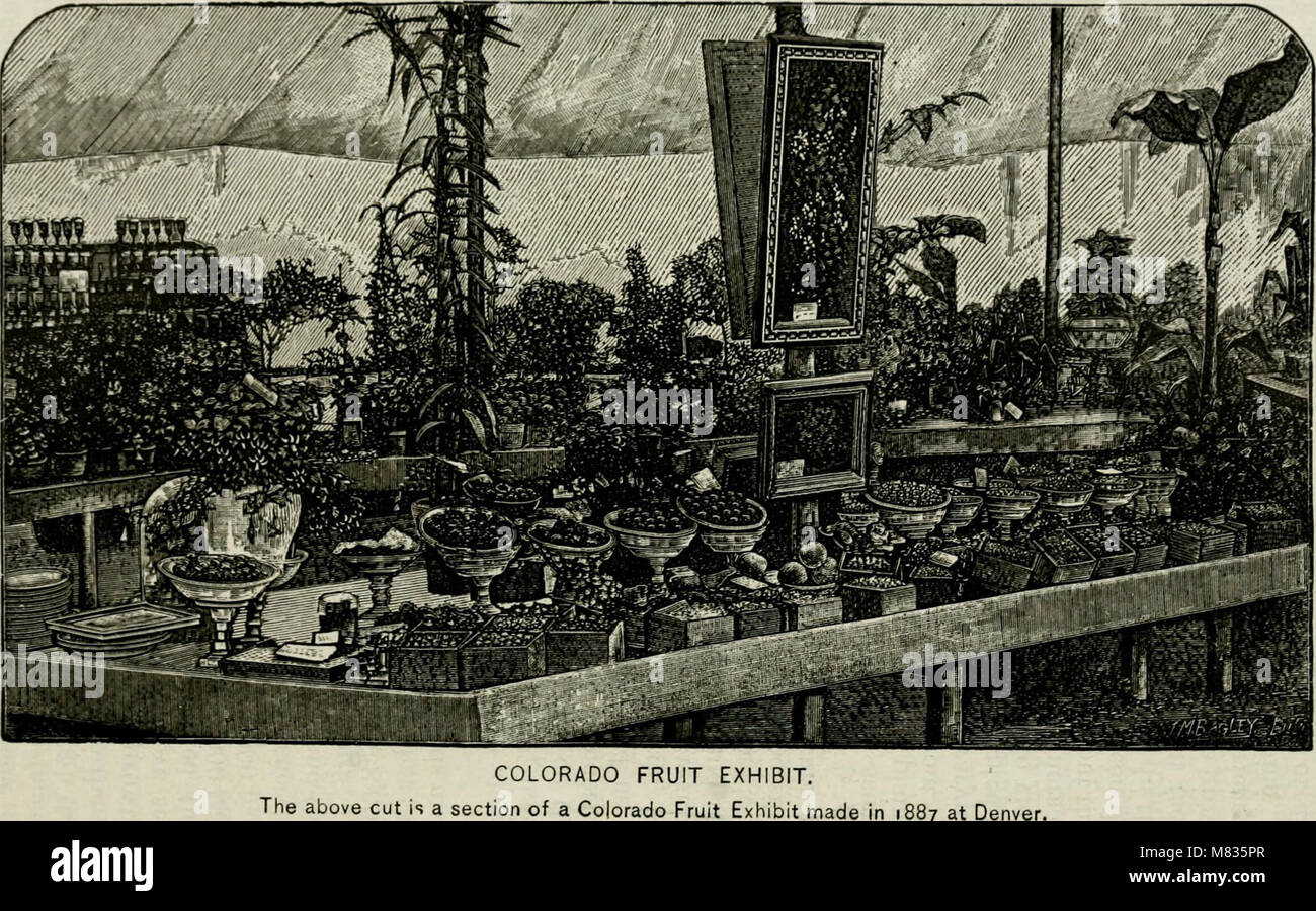 The 1889 Colorado fruit exhibit showcased the state's agricultural ...