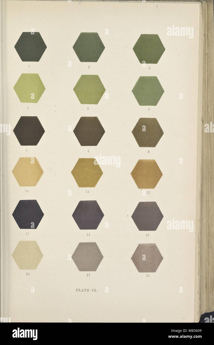 'Colour in Woven Design' (1890) is a textile design manual that ...