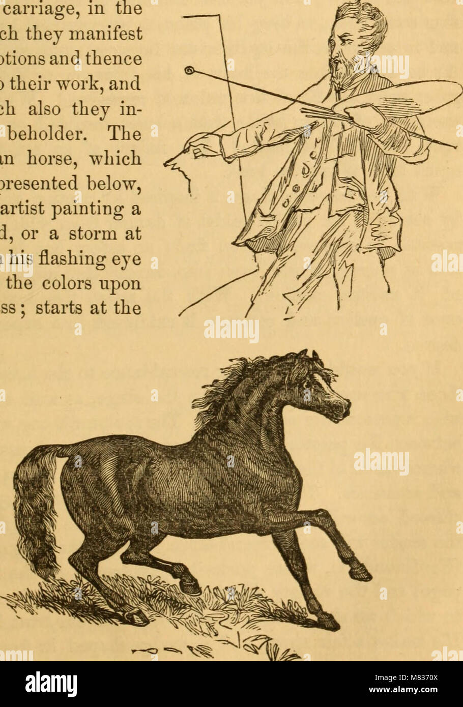 This 1852 work explores the similarities between human and animal ...