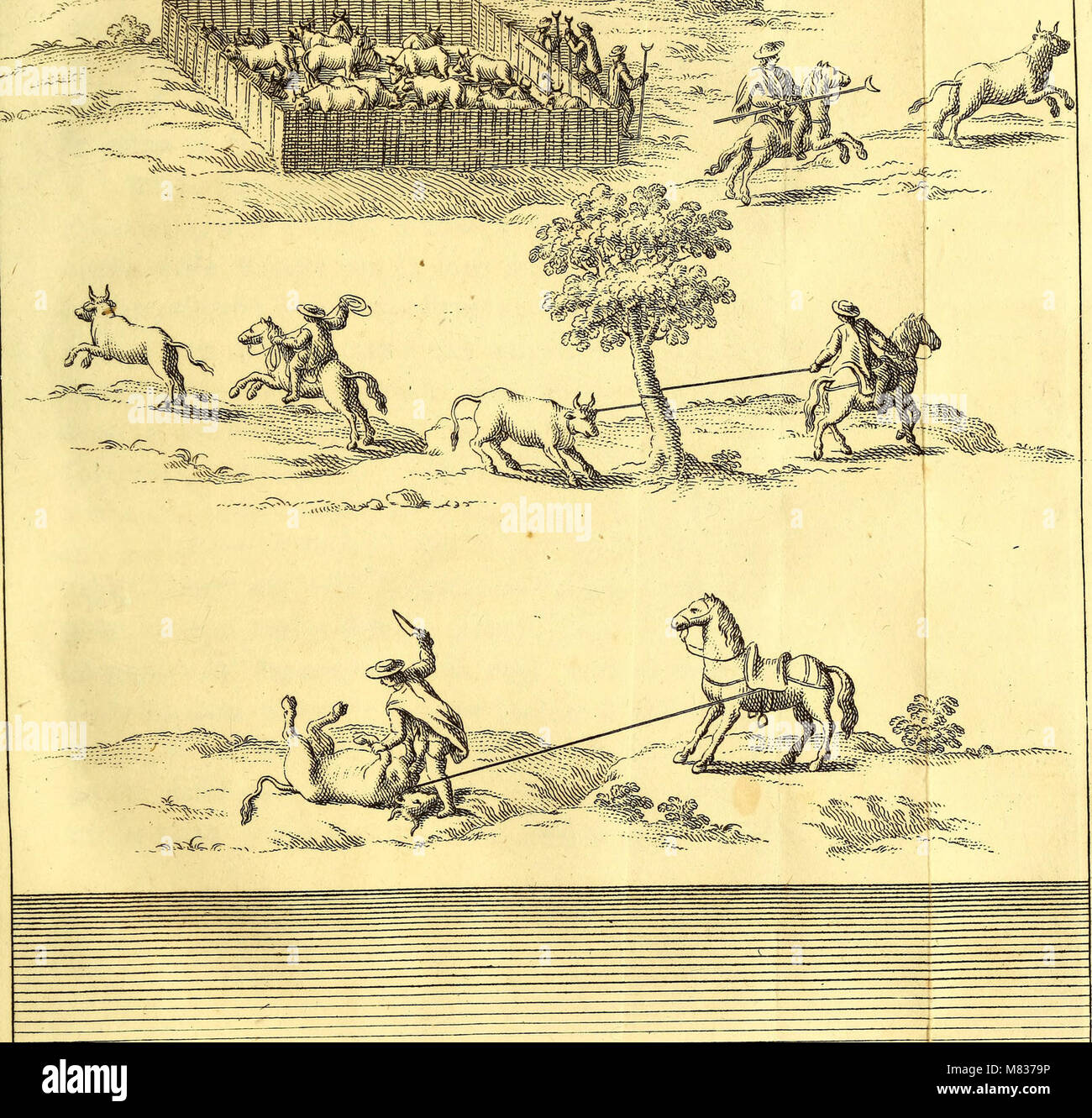 This work provides a comprehensive history of Chile's geography ...