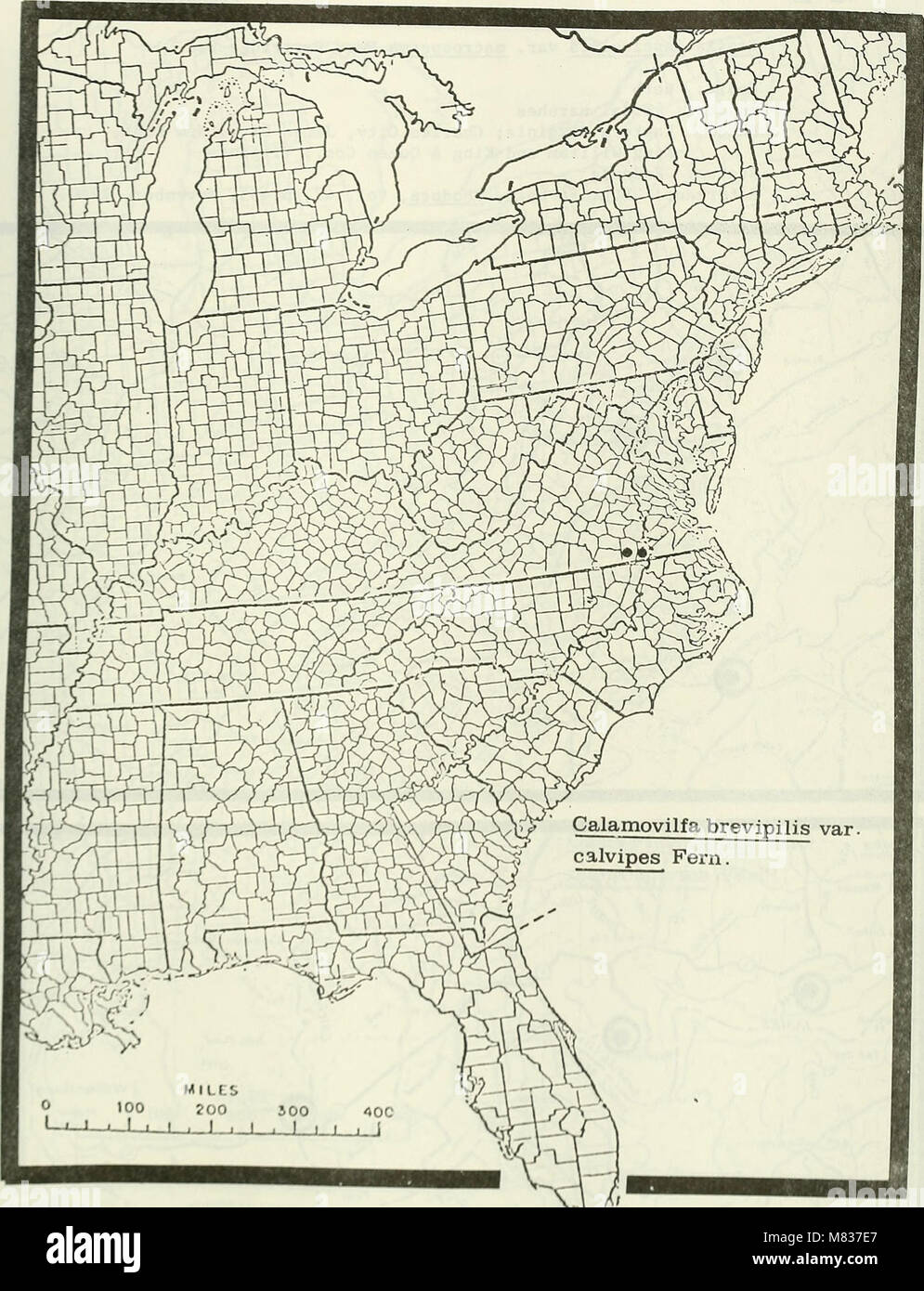 Compendium of natural features information (1975) (20677794481 Stock ...