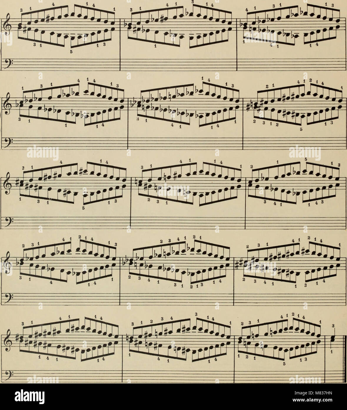 This guide on piano technique covers a comprehensive approach to ...