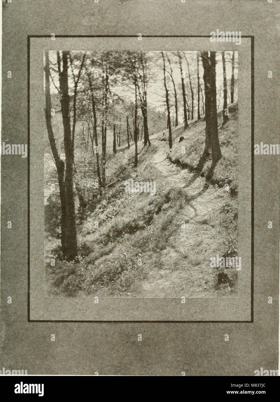 Complete self-instructing library of practical photography (1909 ...