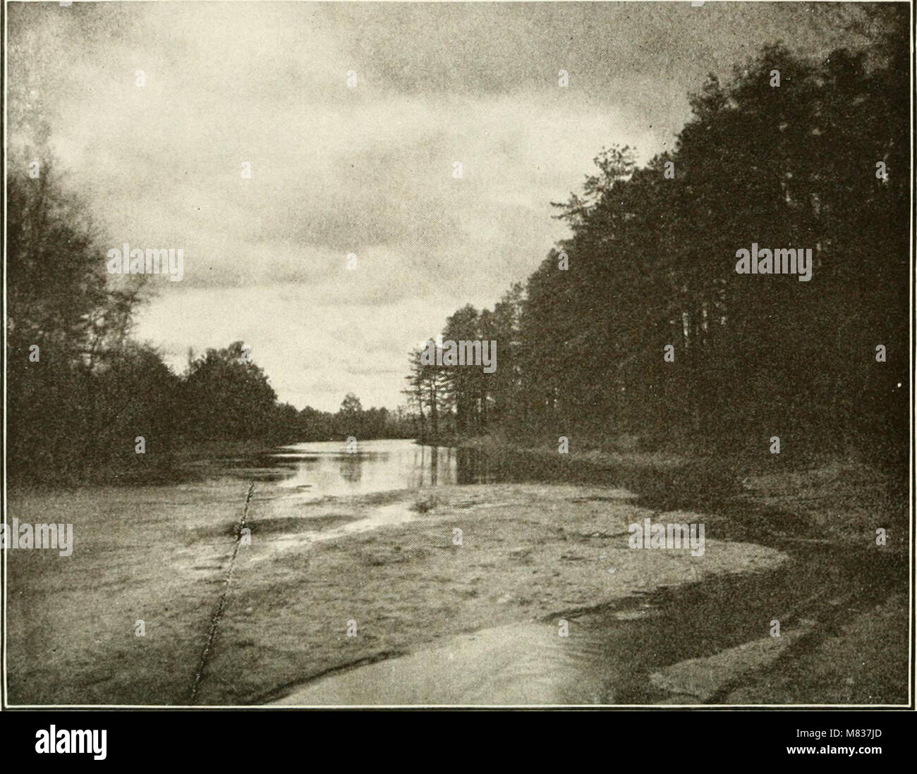 This 1909 library offers a comprehensive guide to practical photography ...