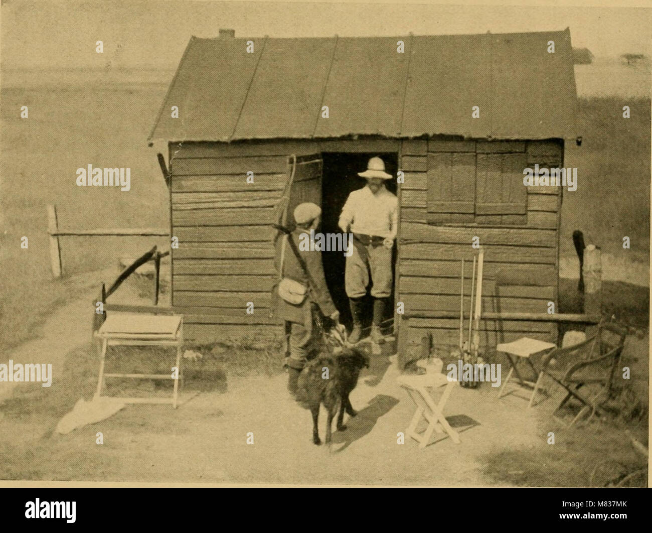 *Complete Wildfowler* (1912) provides a comprehensive guide to ...
