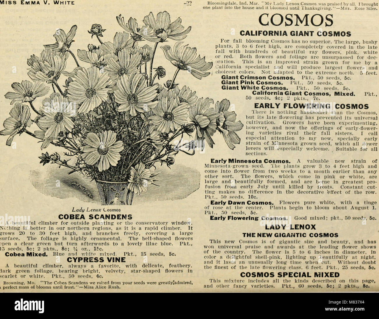 Compliments of Miss Emma V. White (1911) (20049582294 Stock Photo - Alamy