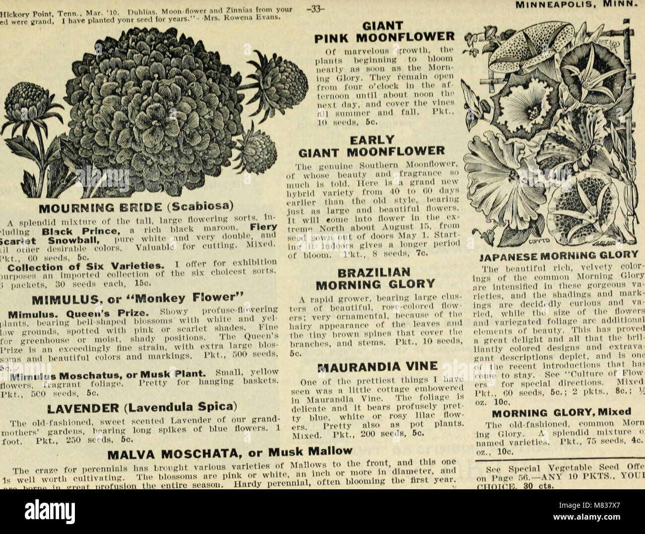 'Compliments of Miss Emma V. White' (1911) is a personal card or letter ...