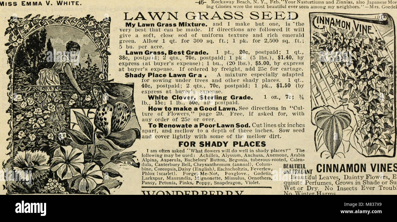 A formal greeting or acknowledgment from Miss Emma V. White in 1911 ...