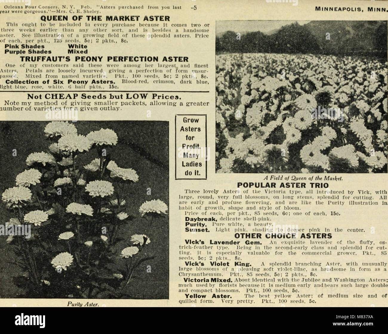 Compliments of Miss Emma V. White (1911) (20484105518 Stock Photo - Alamy