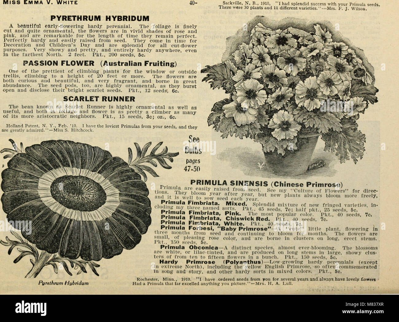 Compliments of Miss Emma V. White (1911) (20484165250 Stock Photo - Alamy