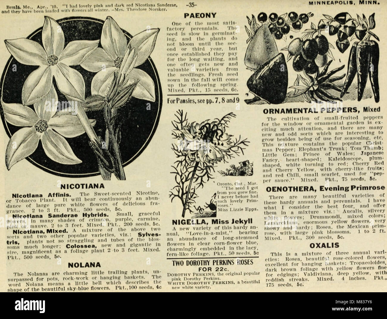 Compliments of Miss Emma V. White (1911) (20672168645 Stock Photo - Alamy