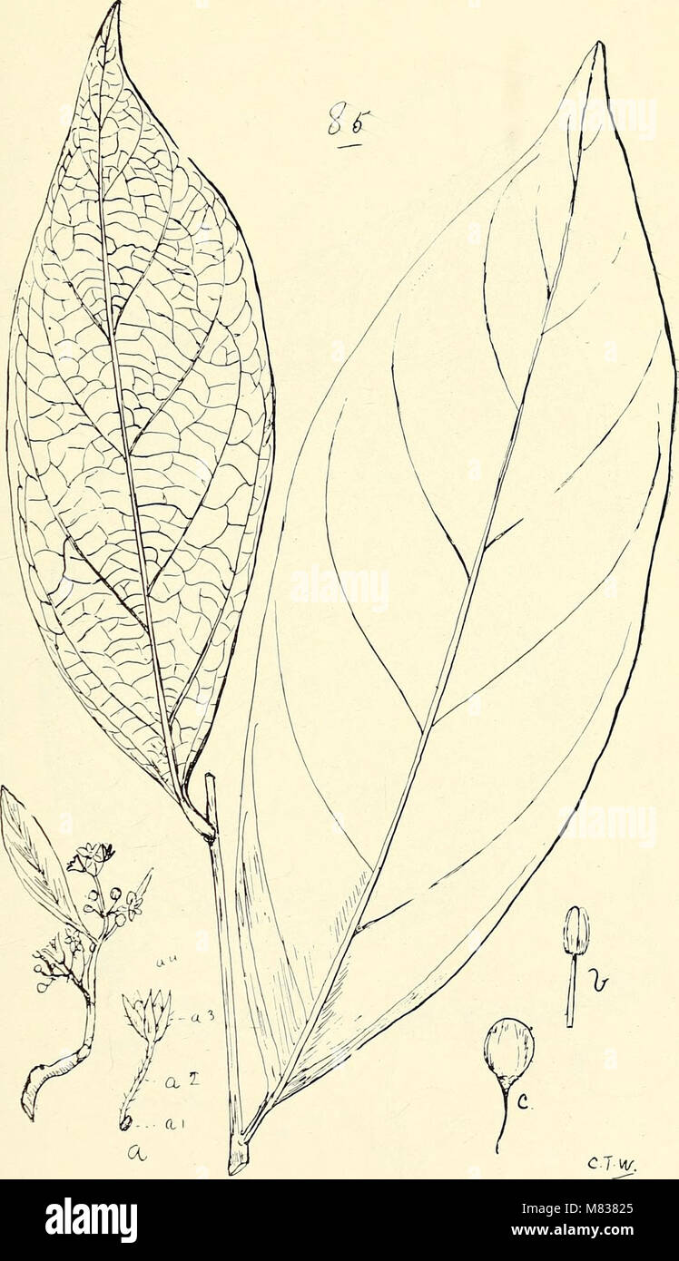 This catalogue provides a detailed listing of both indigenous and ...