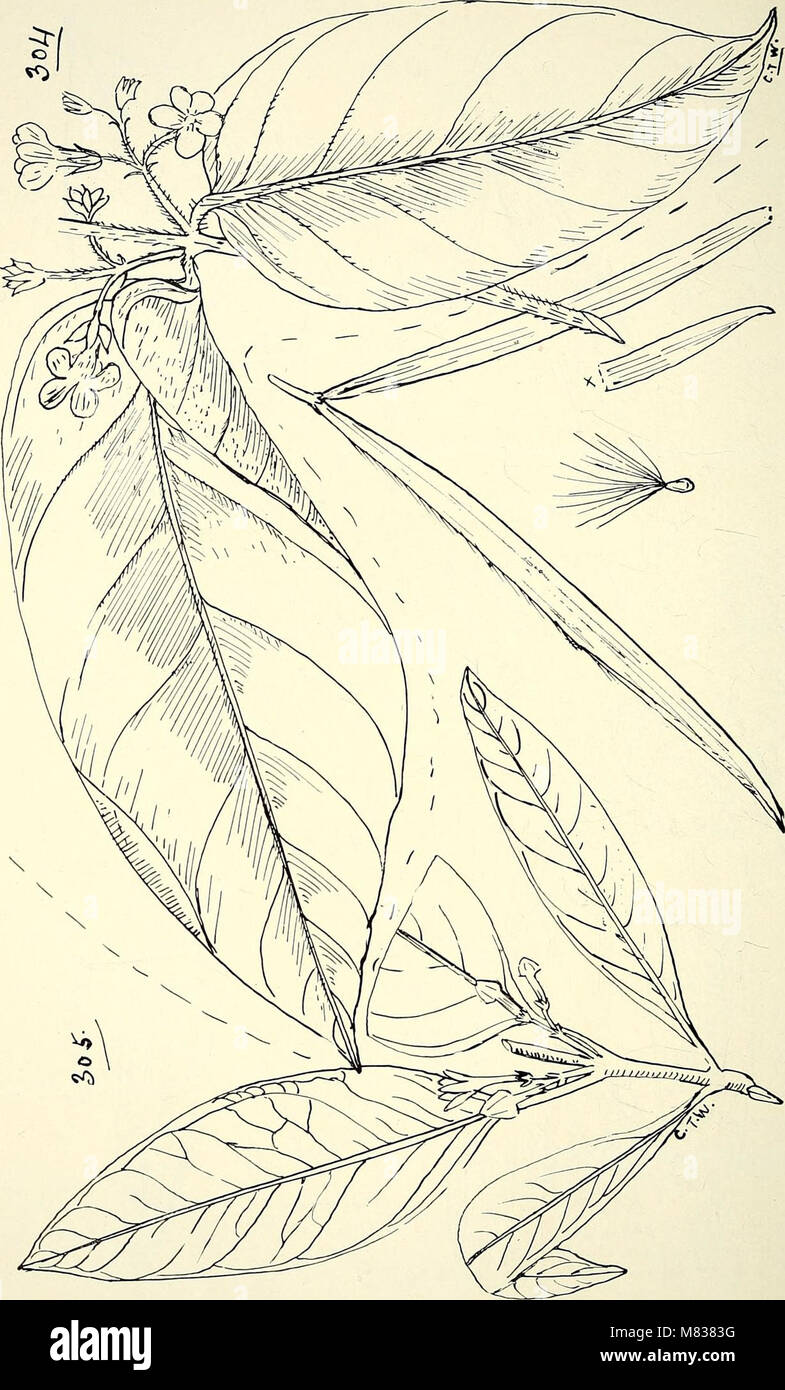 Comprehensive catalogue of Queensland plants, both indigenous and ...