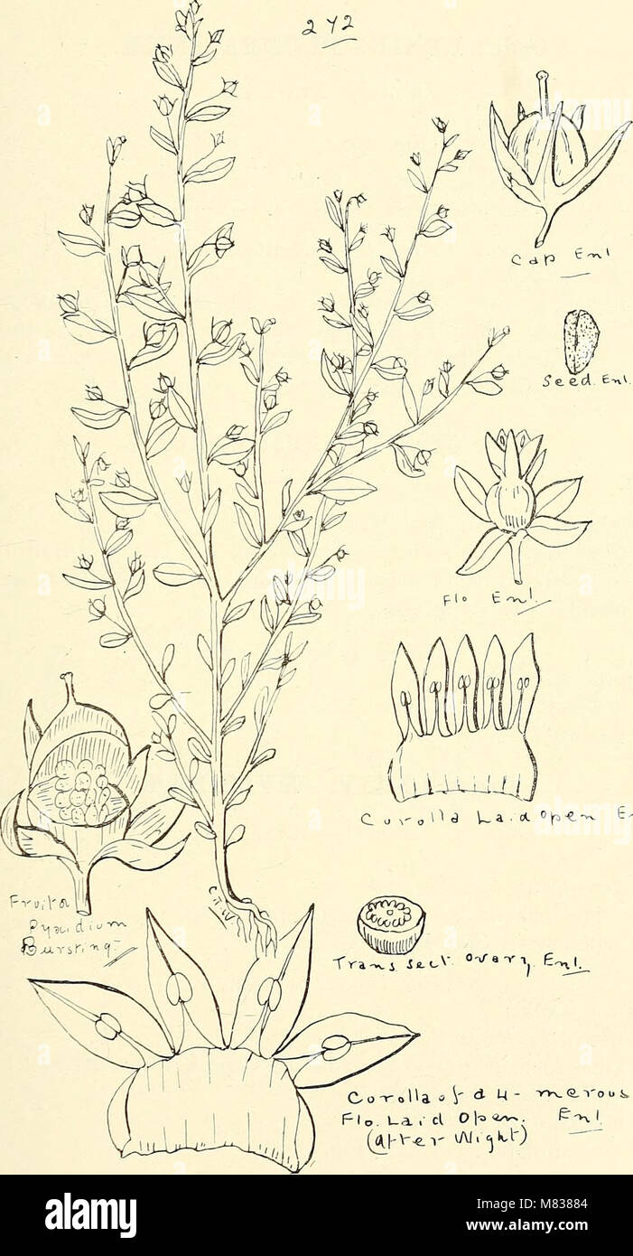 This catalog provides a detailed listing of indigenous and naturalised ...