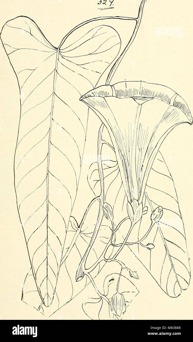 A botanical catalogue listing indigenous and naturalized plant species ...