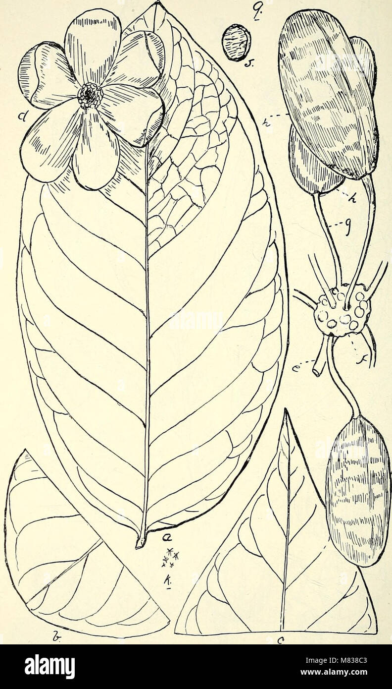 This comprehensive catalogue lists Queensland's indigenous and ...