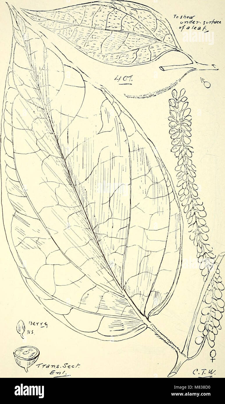 This catalogue details both indigenous and naturalised plant species ...