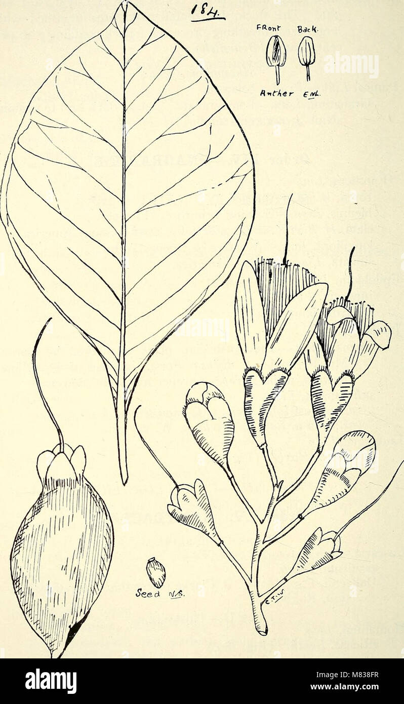 This catalogue lists both indigenous and naturalized plants of ...