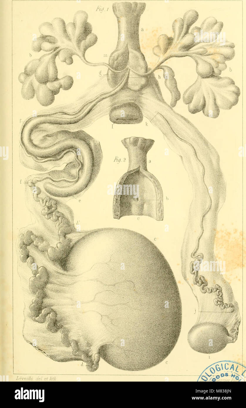 This 1859 French scientific publication reports on the proceedings of ...